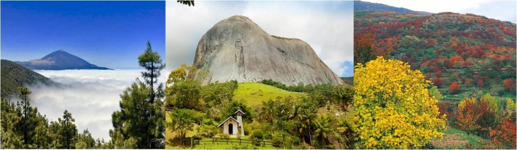 MICROCLIMAS | Concepto, características y formación